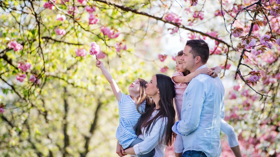 Capital Direct Reviews - Customer feedback and client reviews of ...